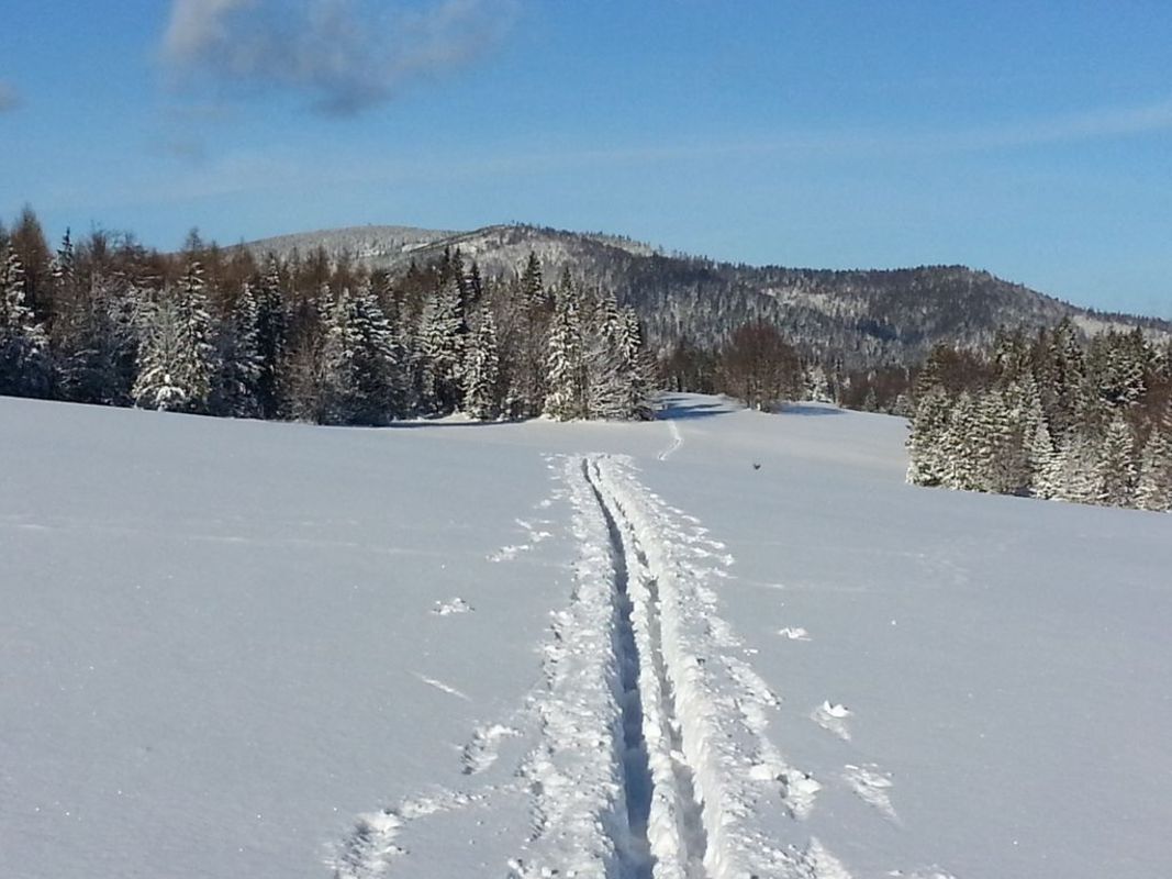 SKICOMP Fakľovka Litmanová - Slovakia.travel