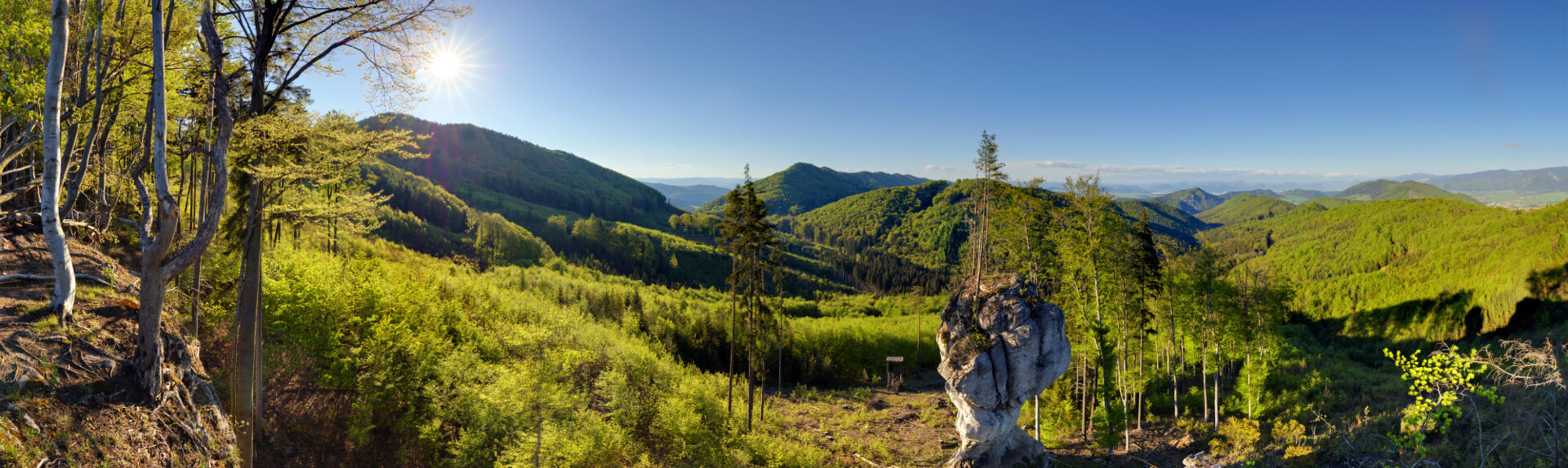 Specialities of the Slovak meadows and forests - Slovakia.travel