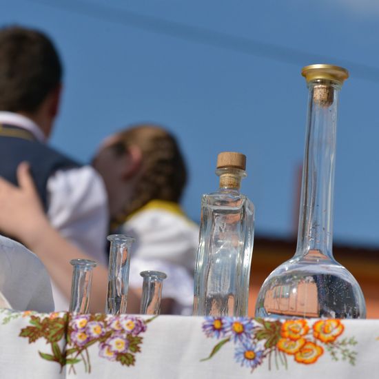 Hrad Plaveč - Slovakia.travel