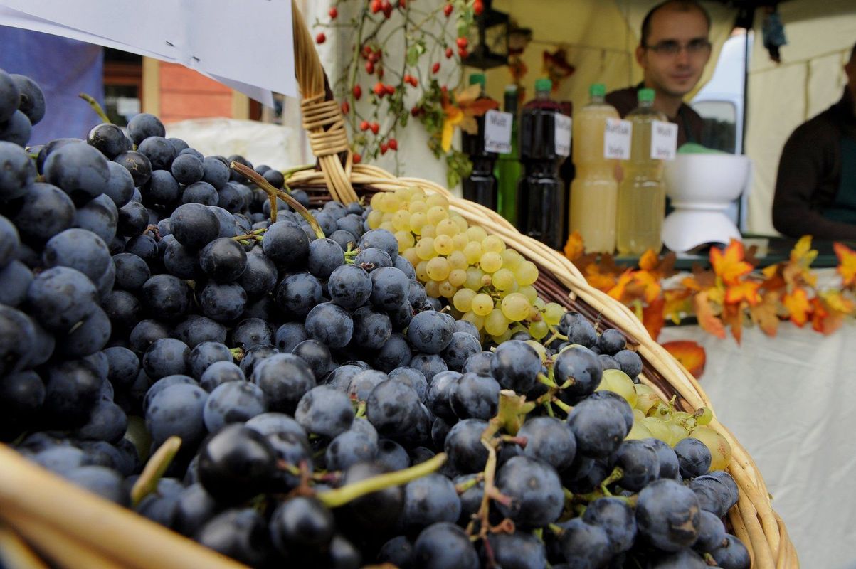 Pezinok Wine Festival - Slovakia.travel