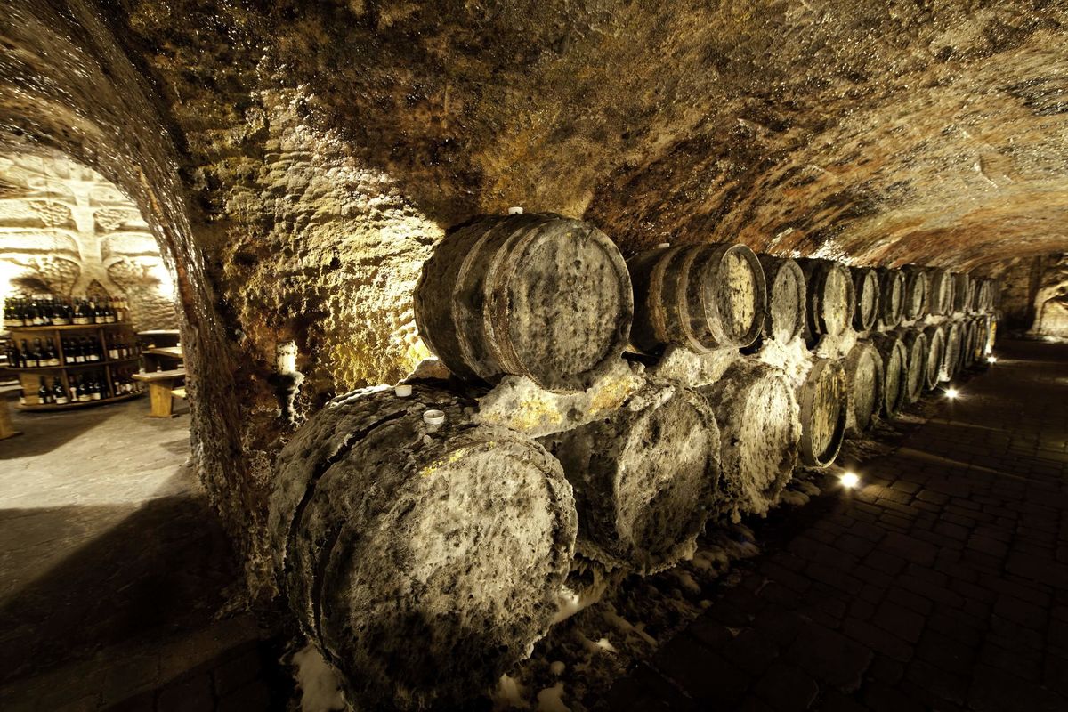 Tokaj Wine Festival - Slovakia.travel