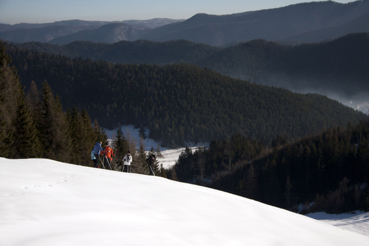 Vernár – Studničky - Slovakia.travel