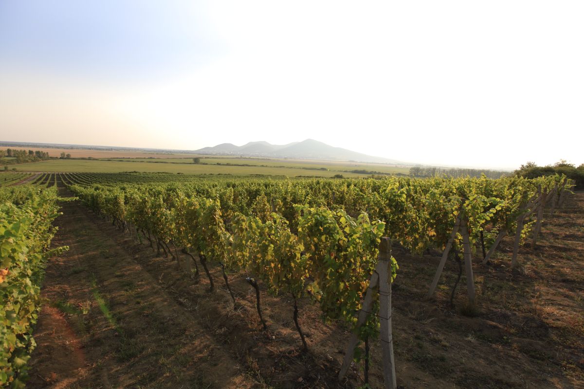 Region of Lower Zemplín - Slovakia.travel